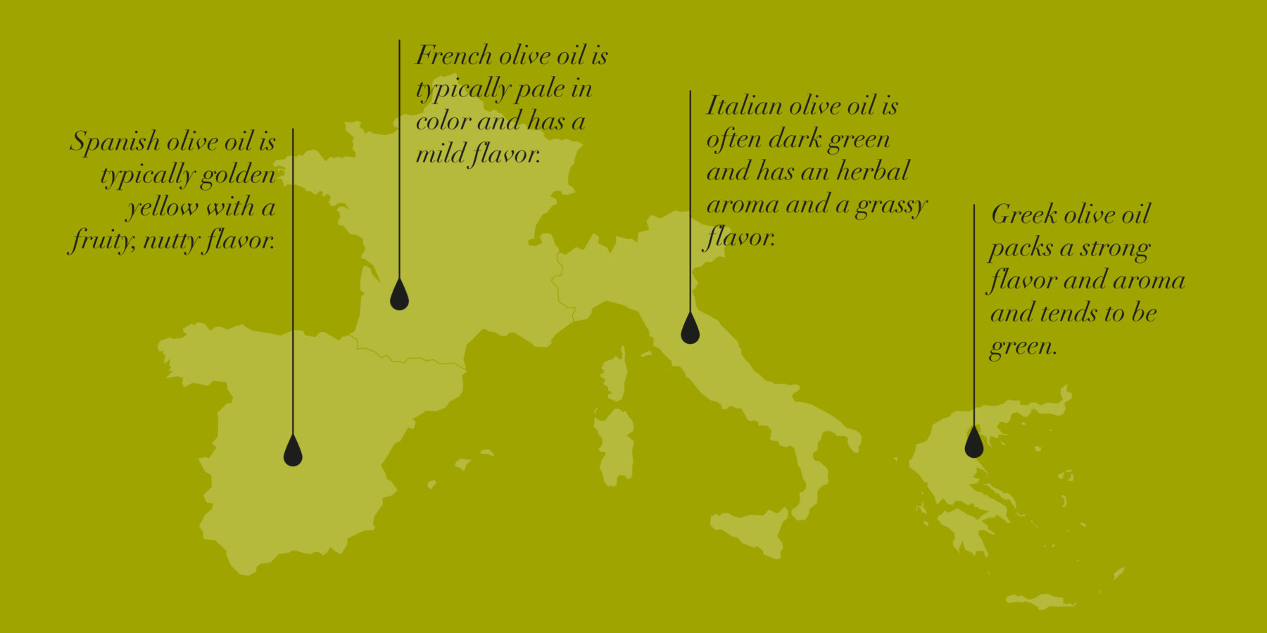 Becoming An Authentic European Olive Oil Connoisseur - BoredMom