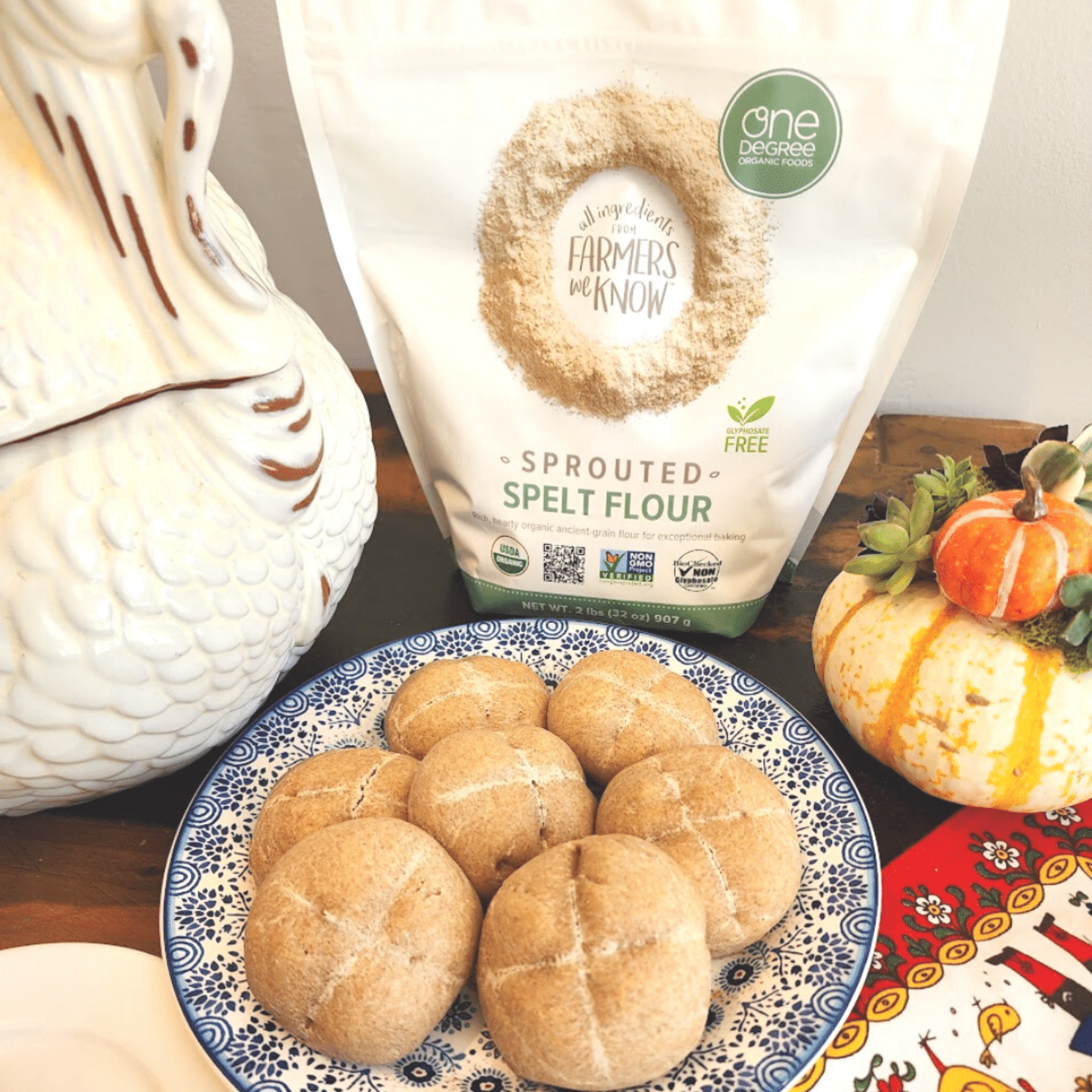 Easy Sprouted Spelt Dinner Rolls Recipe - BoredMom