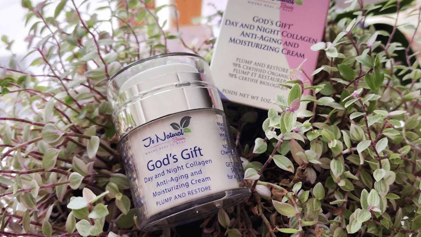 God's Gift Hydrating Day and Night Cream with Sundcreen - BoredMom