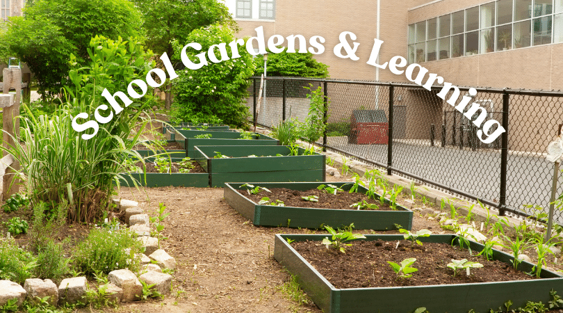 School Gardens and Learning: Growing Minds and Healthy Eating Habits ...