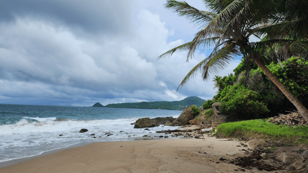 Beautiful Grenada in 3 Days - BoredMom