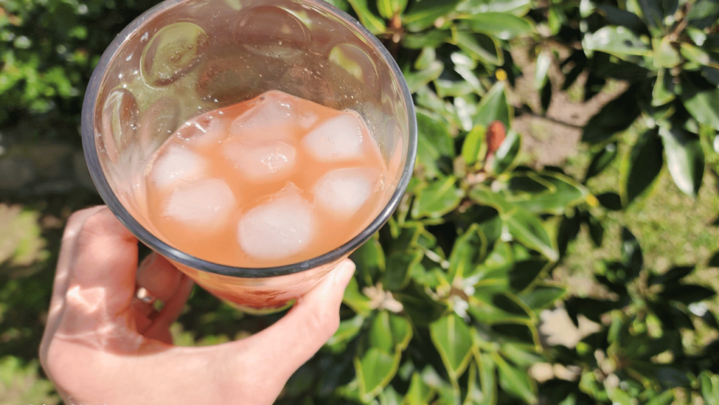 Sunshine in a Glass: My Refreshing Fulfyld Day Drink Mix Review - BoredMom